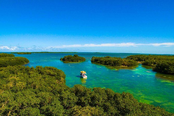 Kayak + Guided Snorkel & Morning Sail hosted by Honest Eco - FAQ