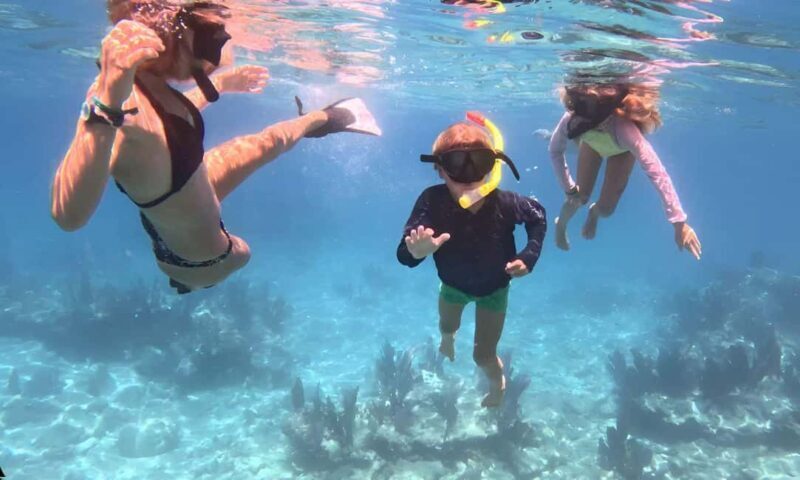 Kayak + Guided Snorkel & Morning Sail - Exploring the Best of Key West’s Coastal Ecosystems with Kayak, Snorkel, & Sail