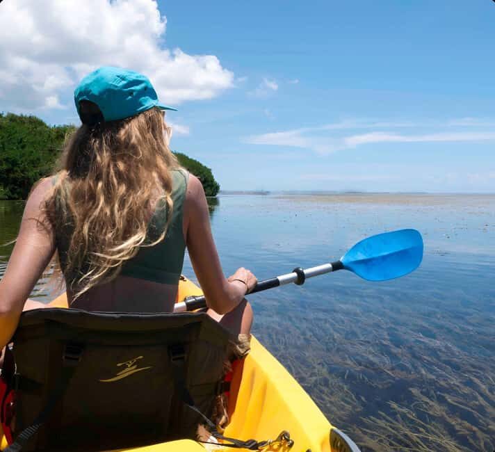 Kayak + Guided Snorkel & Morning Sail - An In-Depth Look at the Tour Experience