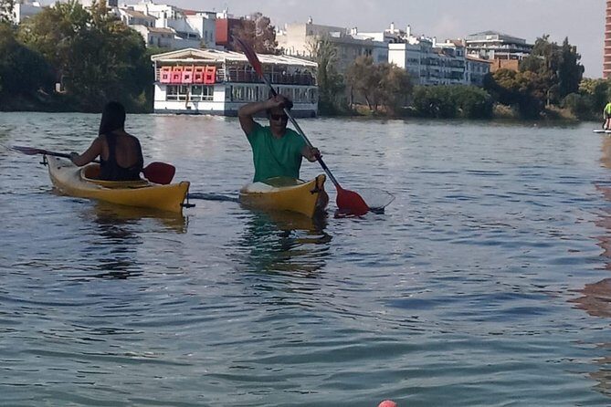 Kayak Guided Tours - A Closer Look at the Kayak Guided Tour