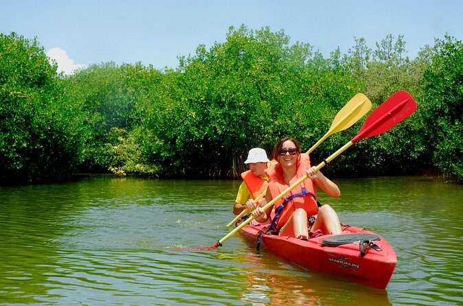 Kayak Lagoon Tour - Group Size and Booking