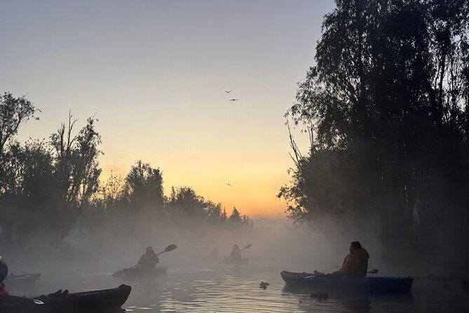 Kayak one more Sunrise Adventure in Xochimilco - Introduction to the Experience
