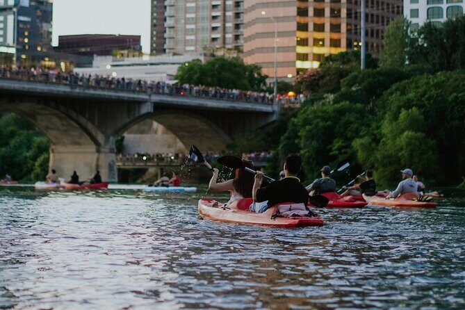 Kayak or Paddle Board Sunset Bat Tour - Who Will Love This Tour?