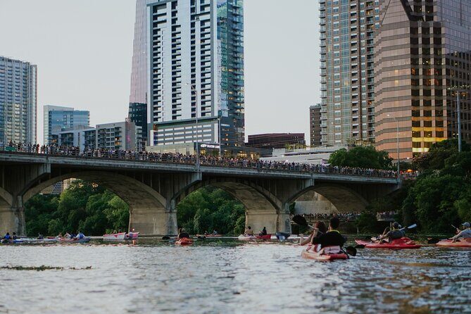 Kayak or Paddle Board Sunset Bat Tour - Final Thoughts