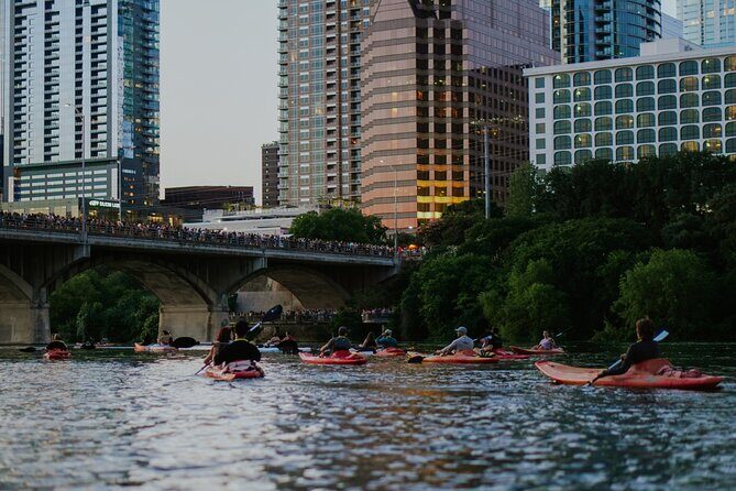 Kayak or Paddle Board Sunset Bat Tour - References