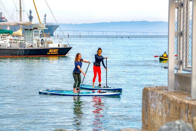 Kayak Or Paddle Board Tour on the San Francisco Bay - Authentic Traveler Feedback