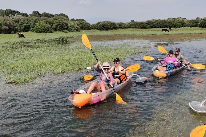 Kayak or Stand Up Paddle in Shkodra Lake and Buna River - Key Points