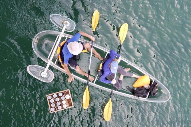Kayak or Stand Up Paddle in Shkodra Lake and Buna River - Exploring Shkodra Lake and Buna River on Kayak or SUP