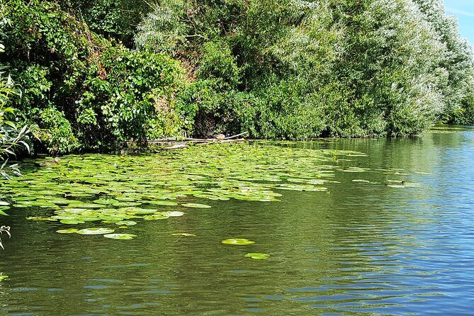 Kayak or SUP tour on the water through Saarbrücken - Who Should Consider this Tour?