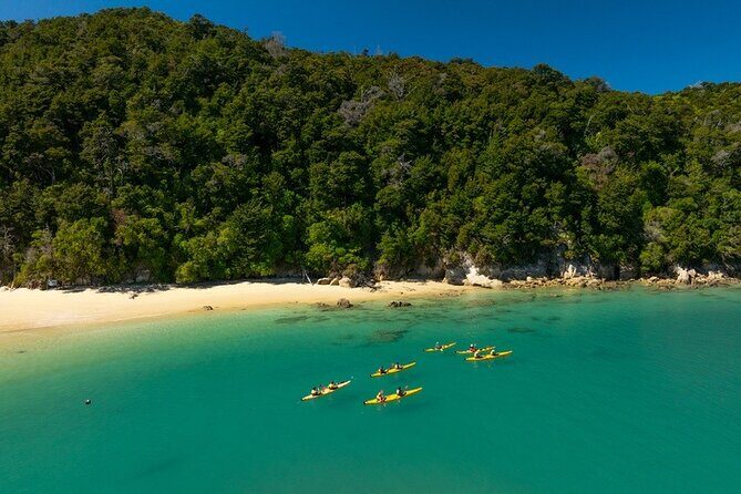 Kayak & Pitt Head Nature Loop - Guided Kayak & Unguided Walk - New Zealand - Authentic Traveler Insights