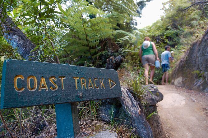 Kayak & Pitt Head Nature Loop - Guided Kayak & Unguided Walk - New Zealand - Practicalities: What You Need to Know