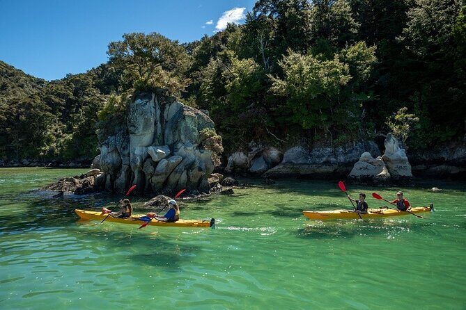 Kayak & Pitt Head Nature Loop - Guided Kayak & Unguided Walk - New Zealand - FAQ