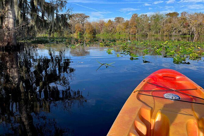 Kayak Rental (2hr) - Blue Spring State Park - Discovering Blue Spring State Park from a Kayak
