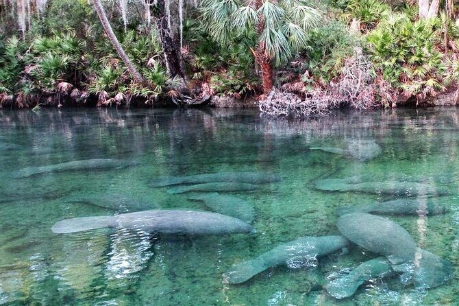 Kayak Rental (2hr) - Blue Spring State Park - A Closer Look at the Itinerary