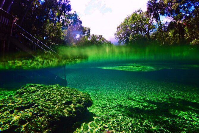 Kayak Rental (2hr) - Blue Spring State Park - Practical Tips for Your Trip