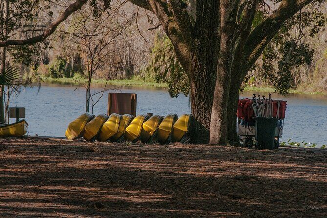 Kayak Rental (2hr) - Blue Spring State Park - Who Should Consider This Tour?