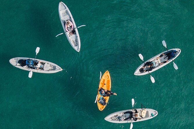 Kayak Rental for Two People in La Jolla - Introduction: What to Expect from a La Jolla Kayak Rental