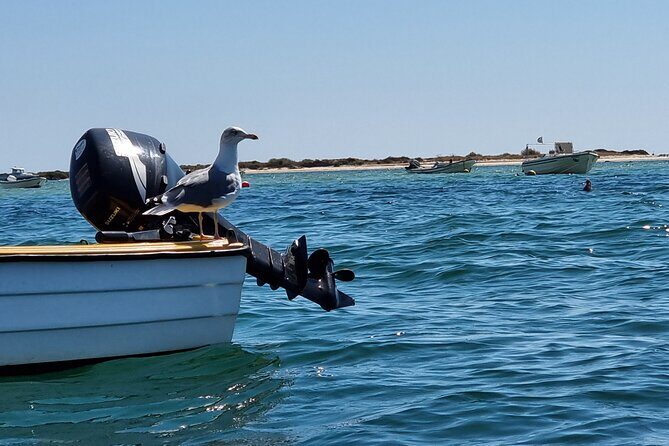 Kayak Rental in Praia dos Cavacos - FAQ