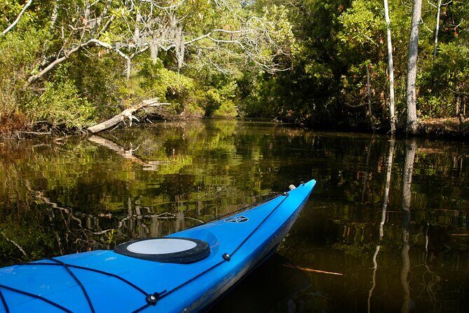 Kayak Rental on the Outer Banks - Who Will Love This Experience?