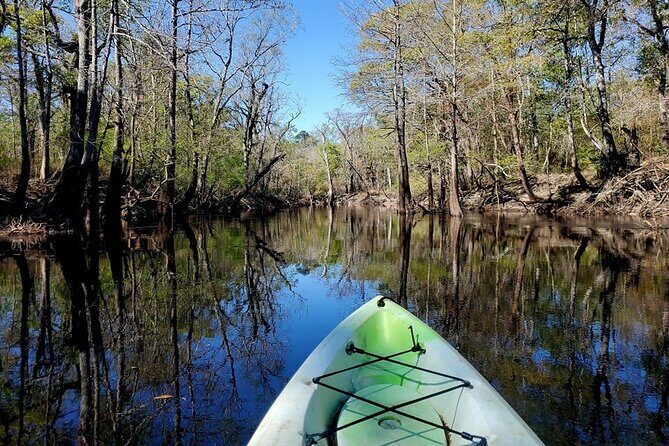 Kayak Rental on the Waccamaw River - Authentic Wildlife and Nature Encounters