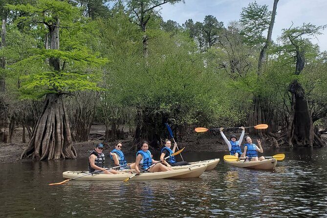 Kayak Rental on the Waccamaw River - What the Reviews Say