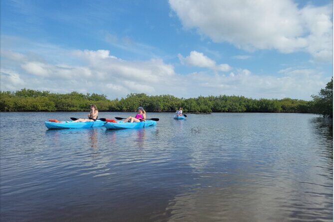 Kayak Rentals - The Value of the Experience