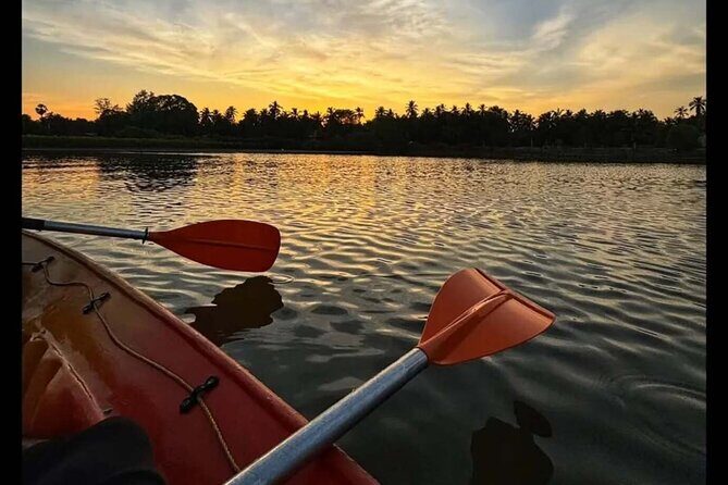 Kayak Rentals in Negombo Lagoon - Practical Details for Your Trip