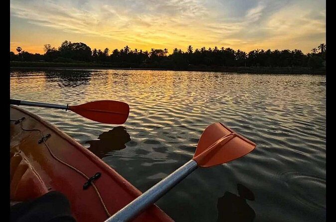 Kayak Rentals in Negombo Lagoon - Final Thoughts