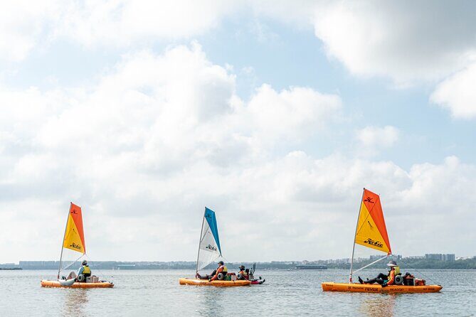 Kayak Sailing in Singapore, Mangrove, Kelong & Pulau Ubin, Seafood Meal Included - Final Thoughts: Who Will Love This Tour?
