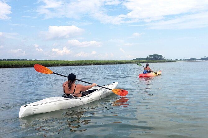 Kayak Salt Marsh Maze Tour - Who Should Consider This Tour
