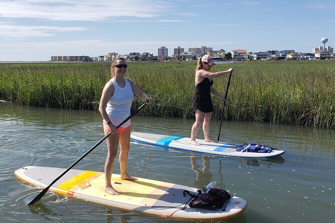 Kayak Salt Marsh Maze Tour - The Sum Up: A Worthwhile and Authentic Experience