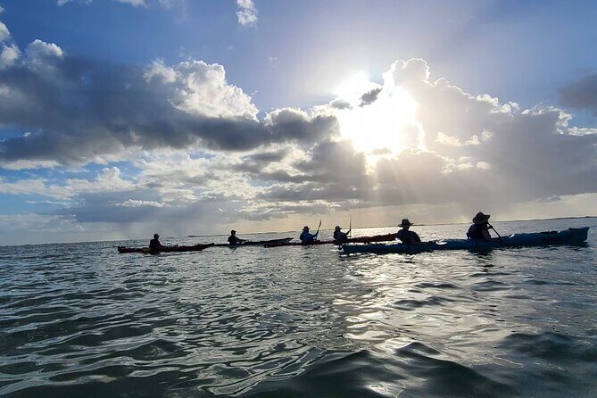 Kayak Sian Kaan Experience - Introduction: What to Expect from the Kayak Sian Kan Experience