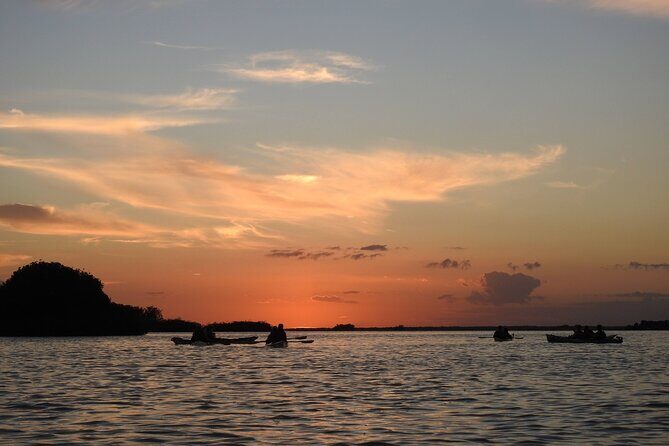Kayak Sian Kaan Experience - The Experience: Authenticity and Real-World Insights