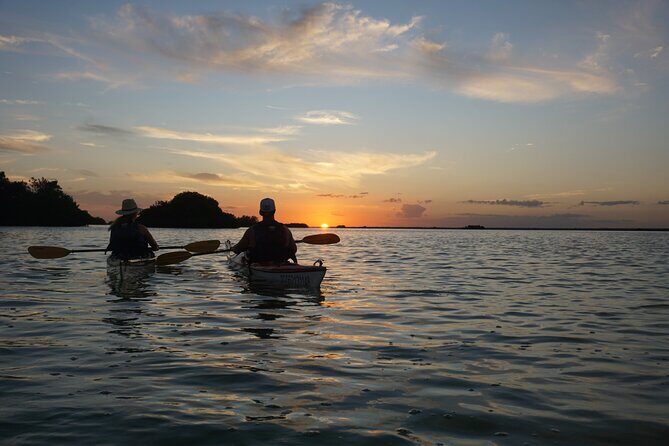 Kayak Sian Kaan Experience - The Sum Up: A Confluence of Nature, Education, and Adventure