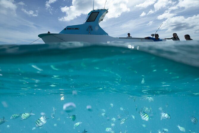 Kayak, Snorkel, and Surf with Turtles in Honolulu - Exploring Turtle Canyon and Underwater Wrecks
