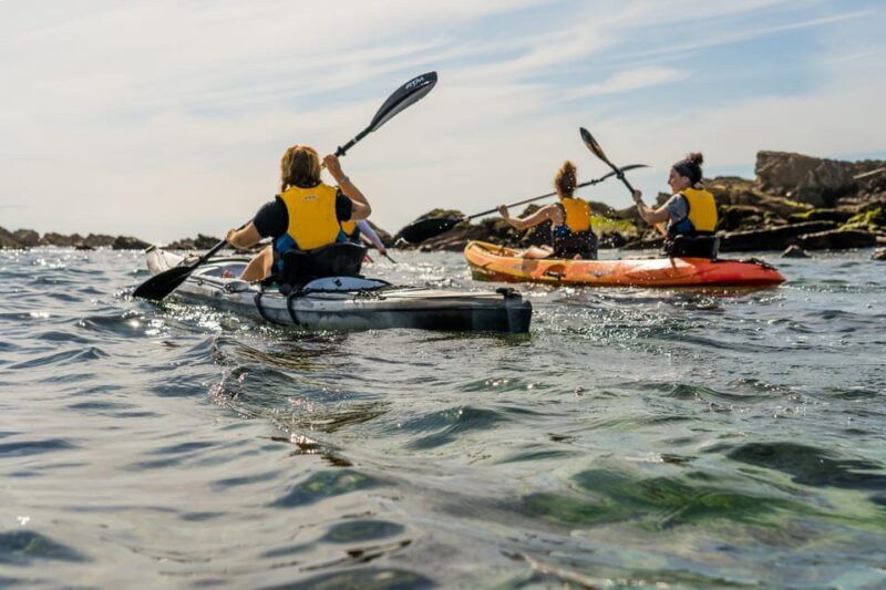 KAYAK & SNORKEL in Hondarribia - Key Points