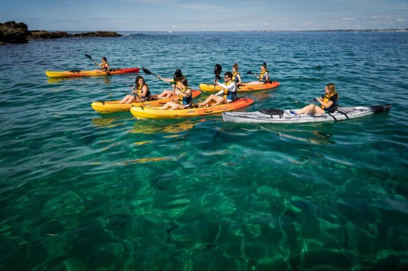 KAYAK & SNORKEL in Hondarribia - What You Can Expect from the Hondarribia Kayak and Snorkel Tour