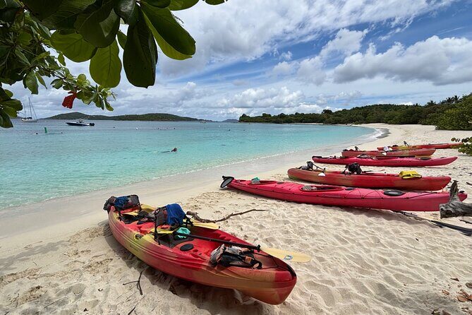Kayak & Snorkel with Sea Turtles, National Park, St. John - Authentic Experiences and What You’ll Take Away