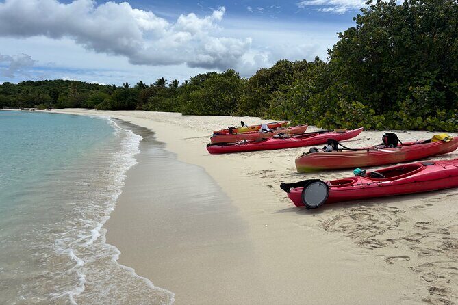 Kayak & Snorkel with Sea Turtles, National Park, St. John - Who Will Love This Tour?