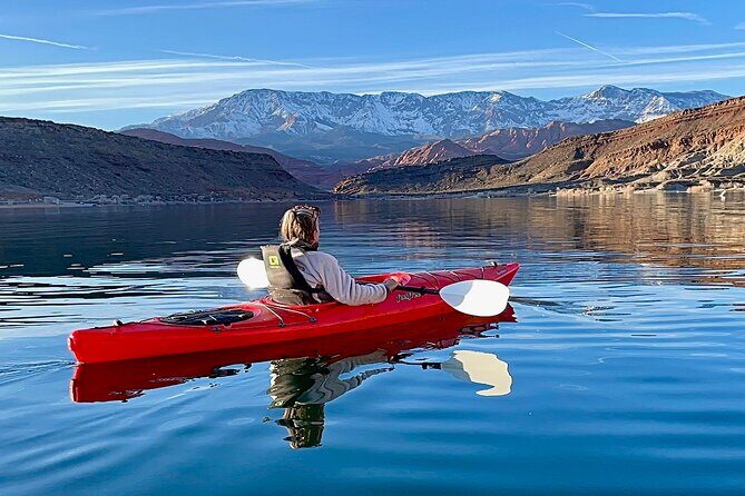 Kayak/SUP Tour: Birds, Beavers, Turtles, maybe even Cliff Jumping - The Value of This Experience