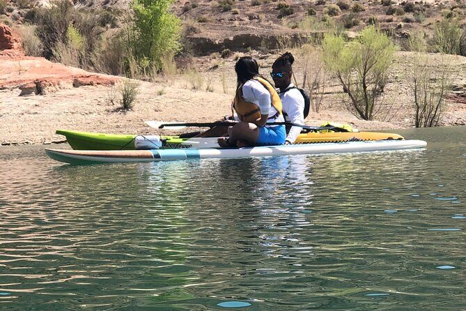 Kayak/SUP Tour: Birds, Beavers, Turtles, maybe even Cliff Jumping - The Sum Up