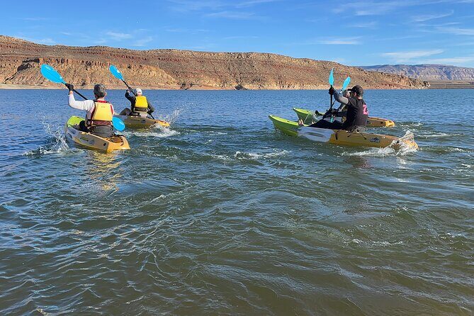 Kayak/SUP Tour: Birds, Beavers, Turtles, maybe even Cliff Jumping - Frequently Asked Questions