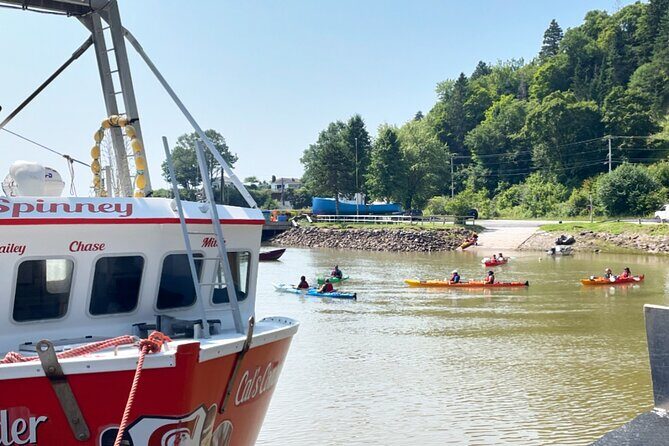 Kayak the Bay of Fundy Sea Caves - Exploring the Bay of Fundy Sea Caves by Kayak: A Review