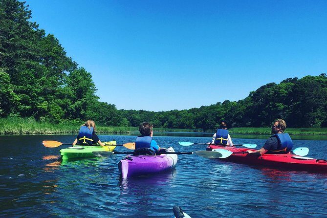 Kayak The Creek Nature Tour - Why the Kayak The Creek Nature Tour Stands Out