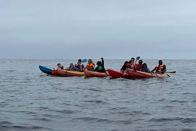 Kayak The Jacket and Flea market Private Tour - What to Expect From Your Experience