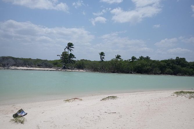 kayak through mangroves to secret beach - Detailed Itinerary Breakdown