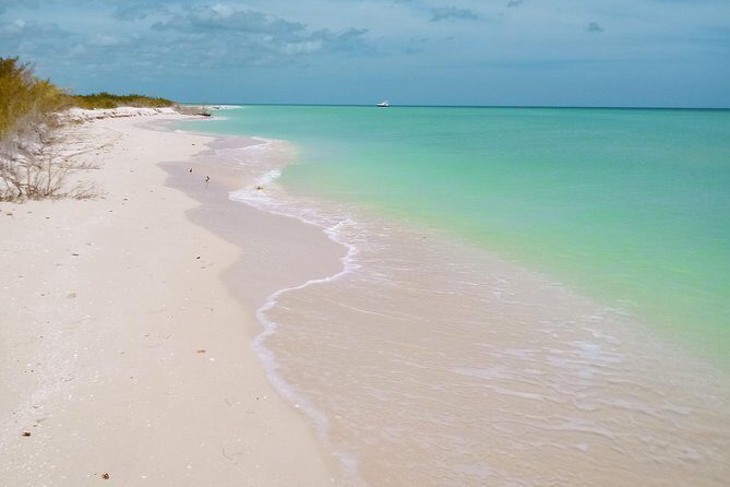 kayak through mangroves to secret beach - Authenticity and Real Traveler Experiences