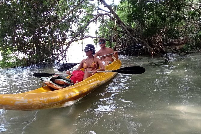 kayak through mangroves to secret beach - The Sum Up: Is This Tour for You?