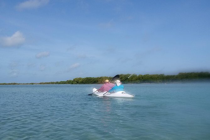 kayak through mangroves to secret beach - Frequently Asked Questions