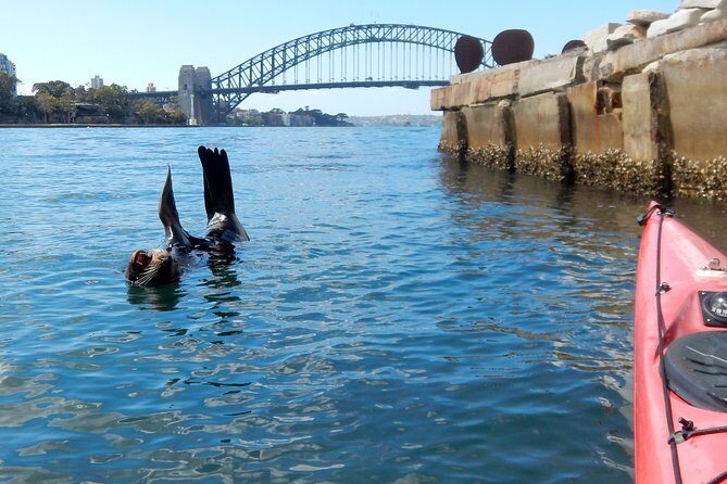 Kayak to Goat Island in Sydney Harbour with Local - The Real Deal: What You Can Expect